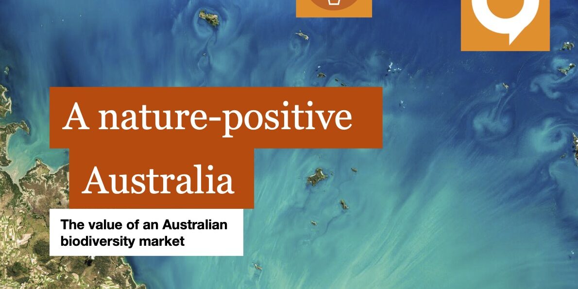 A biodiversity market could unlock $137 billion to advance Australian ...