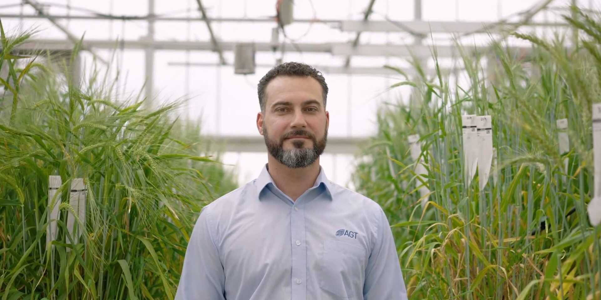 Success Stories: Australian Grain Technologies in Roseworthy - Regional ... Success Stories: Australian Grain Technologies in Roseworthy - Regional ...