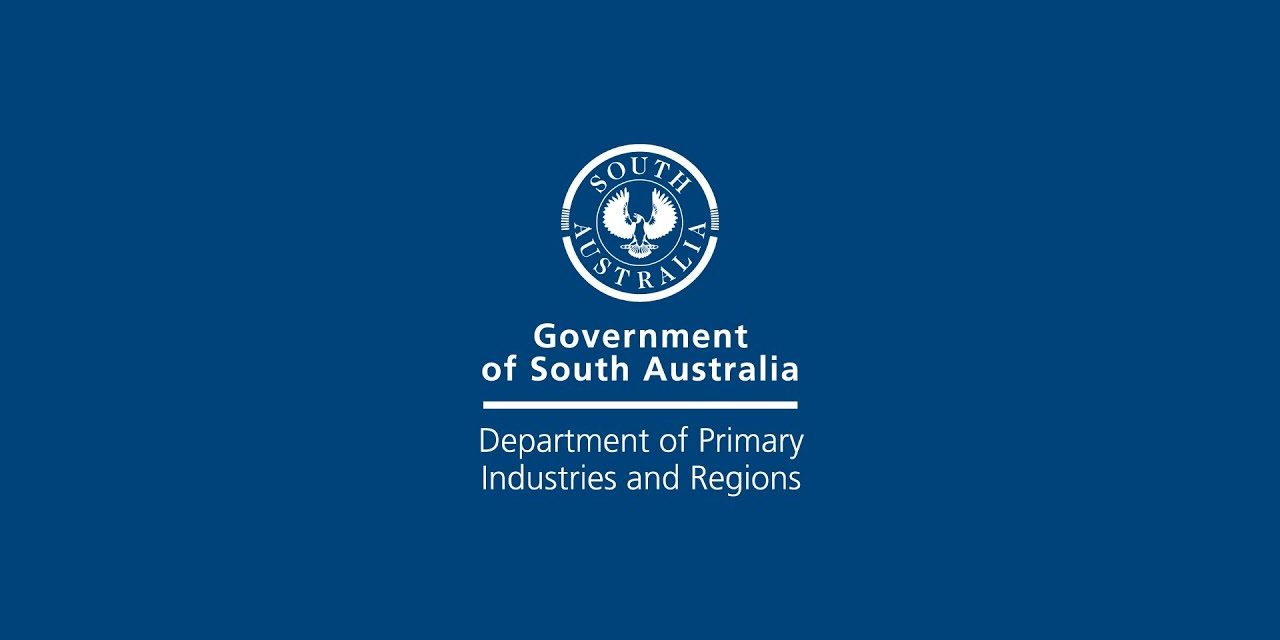 Pirsa Logo