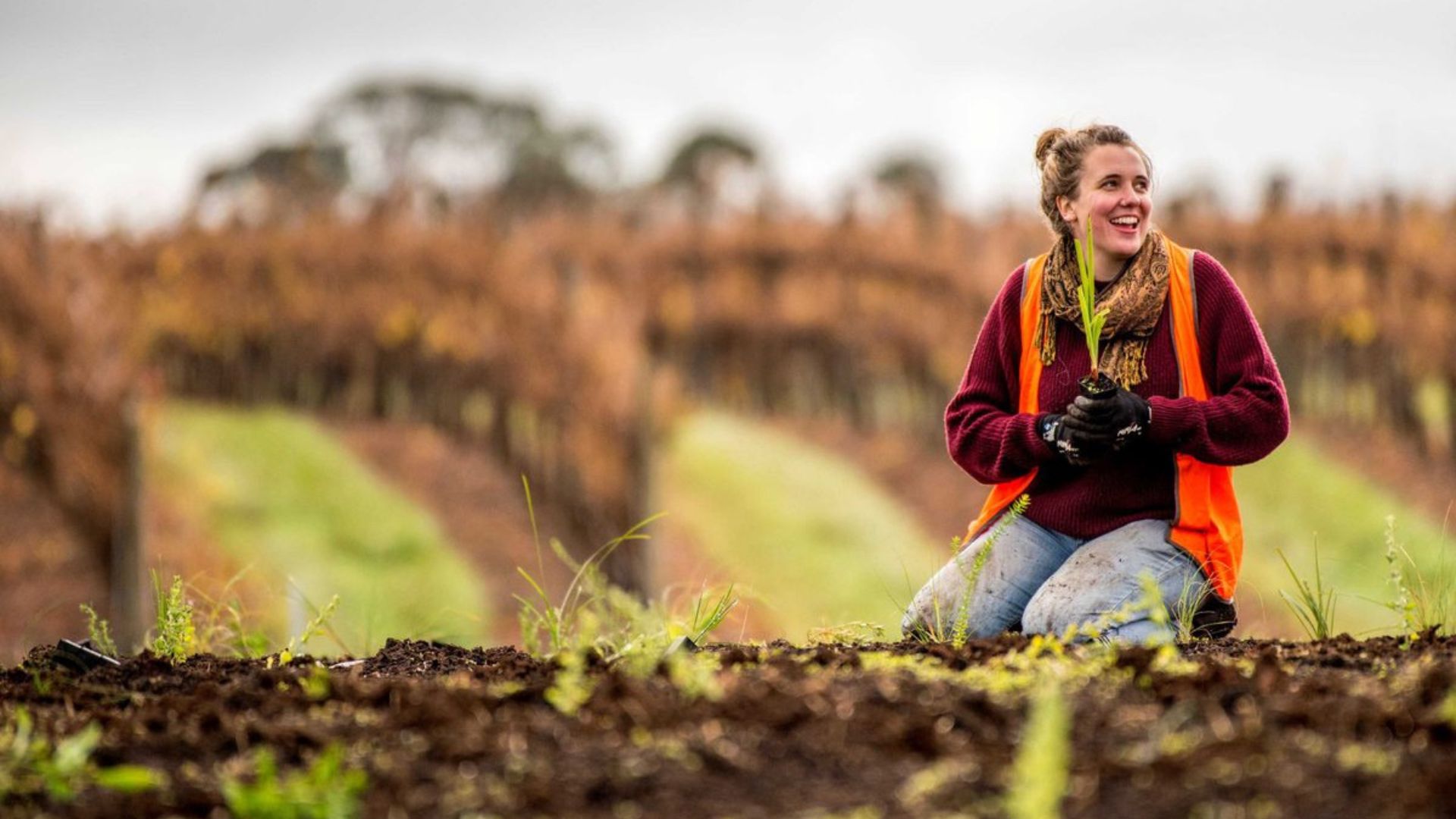 Adelaide Plains Council Strategic Plan 2025–2028 Released - Regional ...